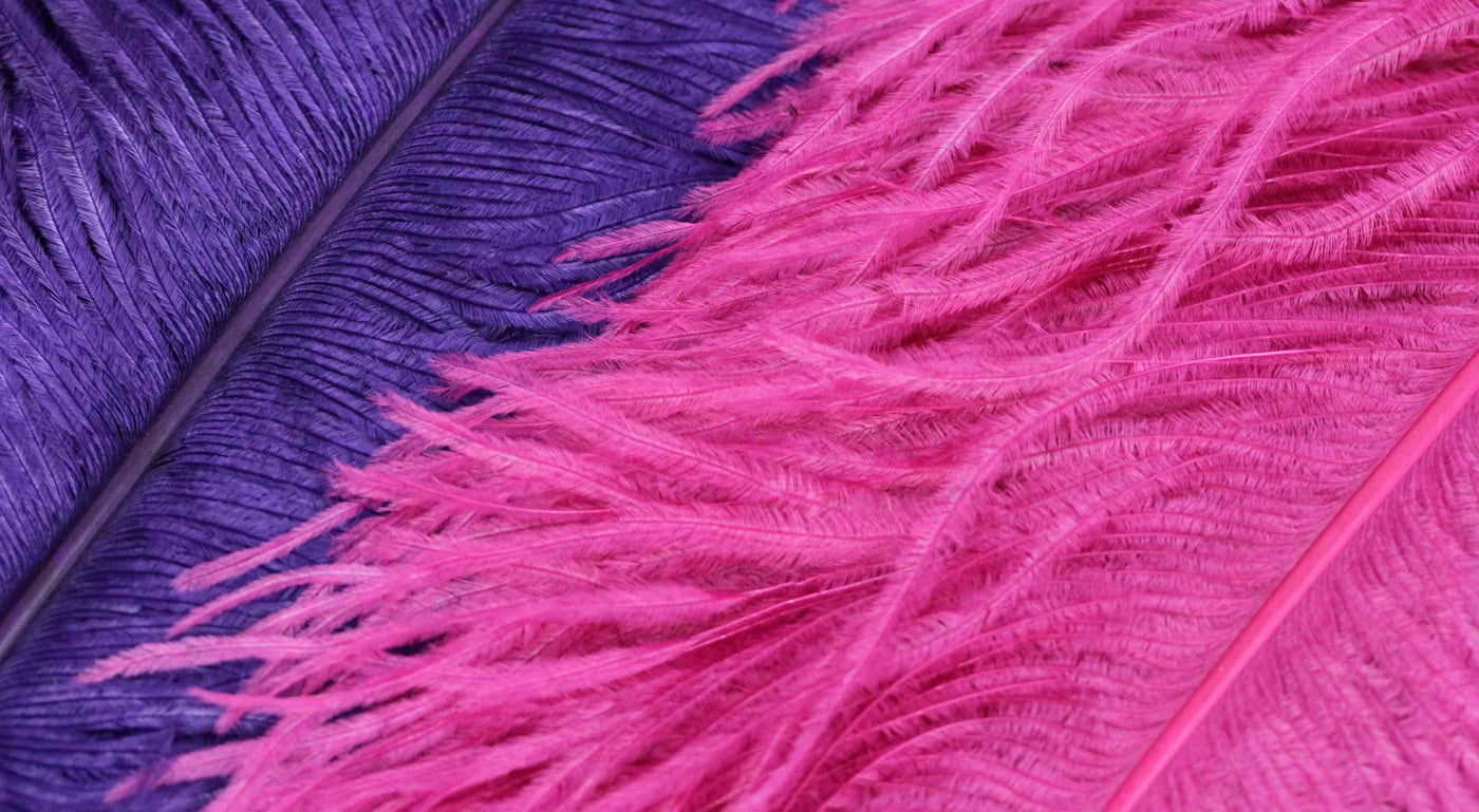 Ostrich Feathers for Sale Online USA | Fancy Feather