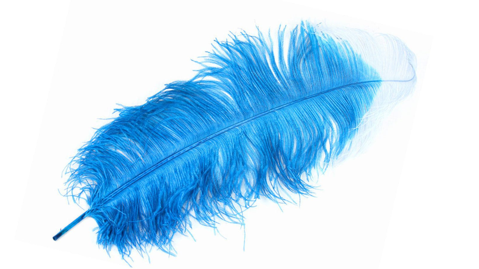 Bulk Feathers For Sale Online USA | Fancy Feather