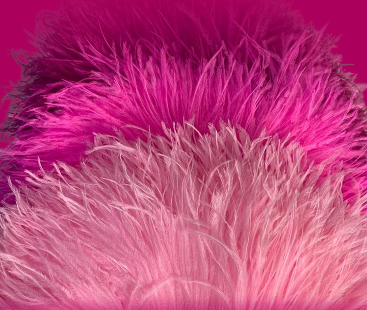 Premium Delux Ostrich Feather Dusters for Sale