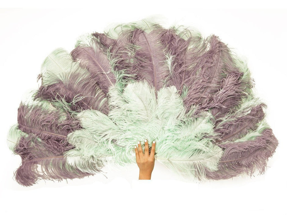 Feather Fans for Sale Online USA | Fancy Feather