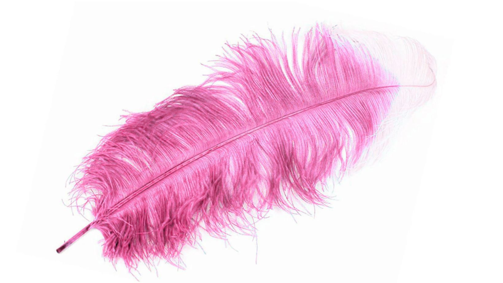 Bulk Feathers For Sale Online USA | Fancy Feather